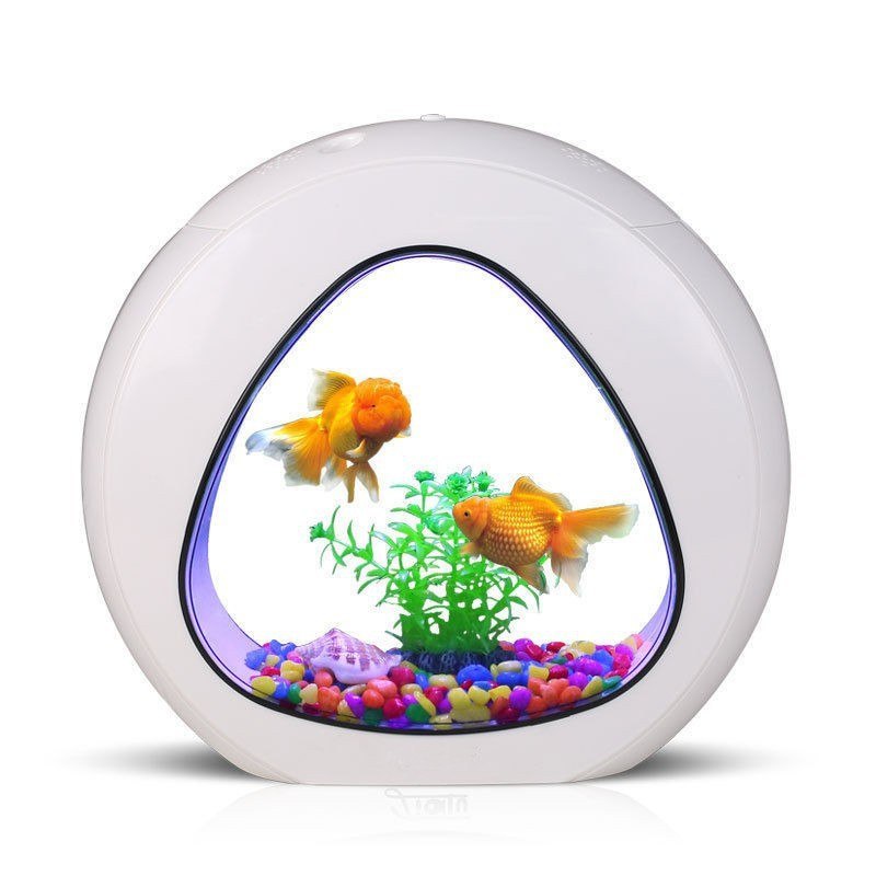 SunSun Smart Aqua 4l - zestaw akwarium białe 4l Sklep Akwarystyczny.EU